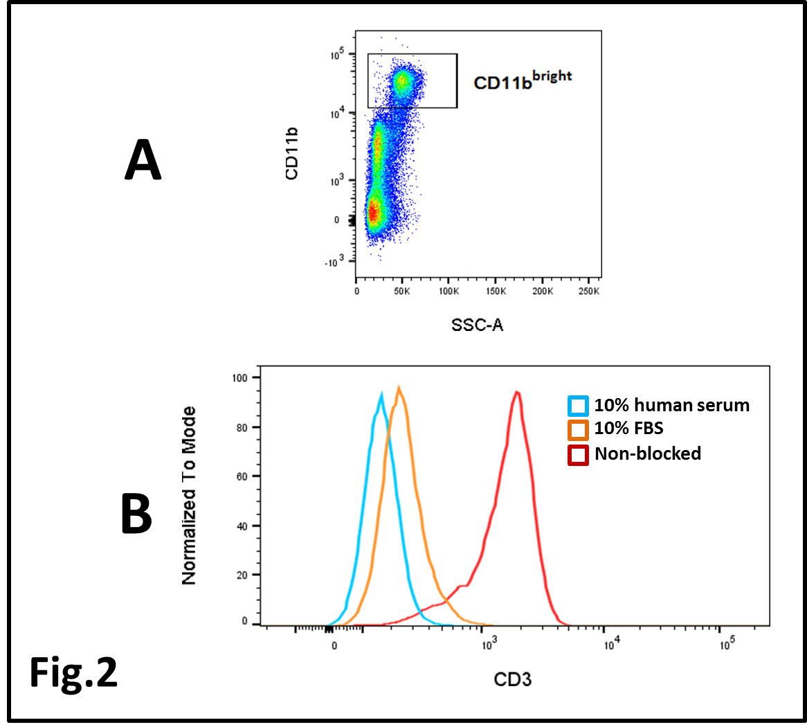Blocking Fc receptors for flow cytometry