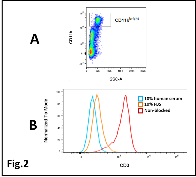 Blocking Fc receptors for flow cytometry