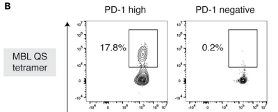 2023 Advancements in Research with QuickSwitch™ Custom Tetramer Kits