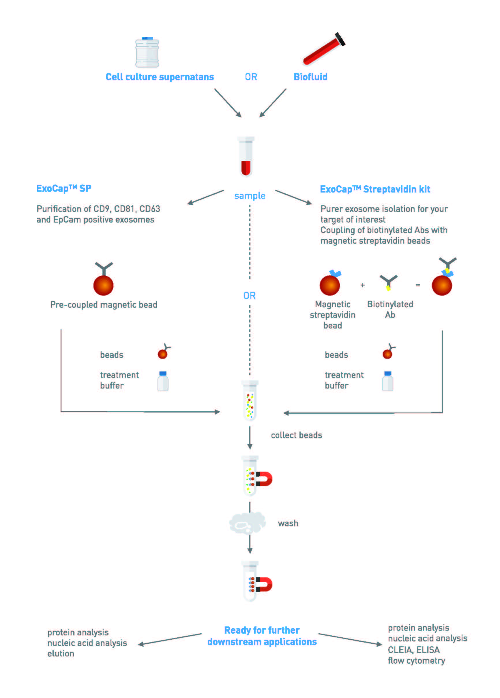 Why pure exosome isolation matters